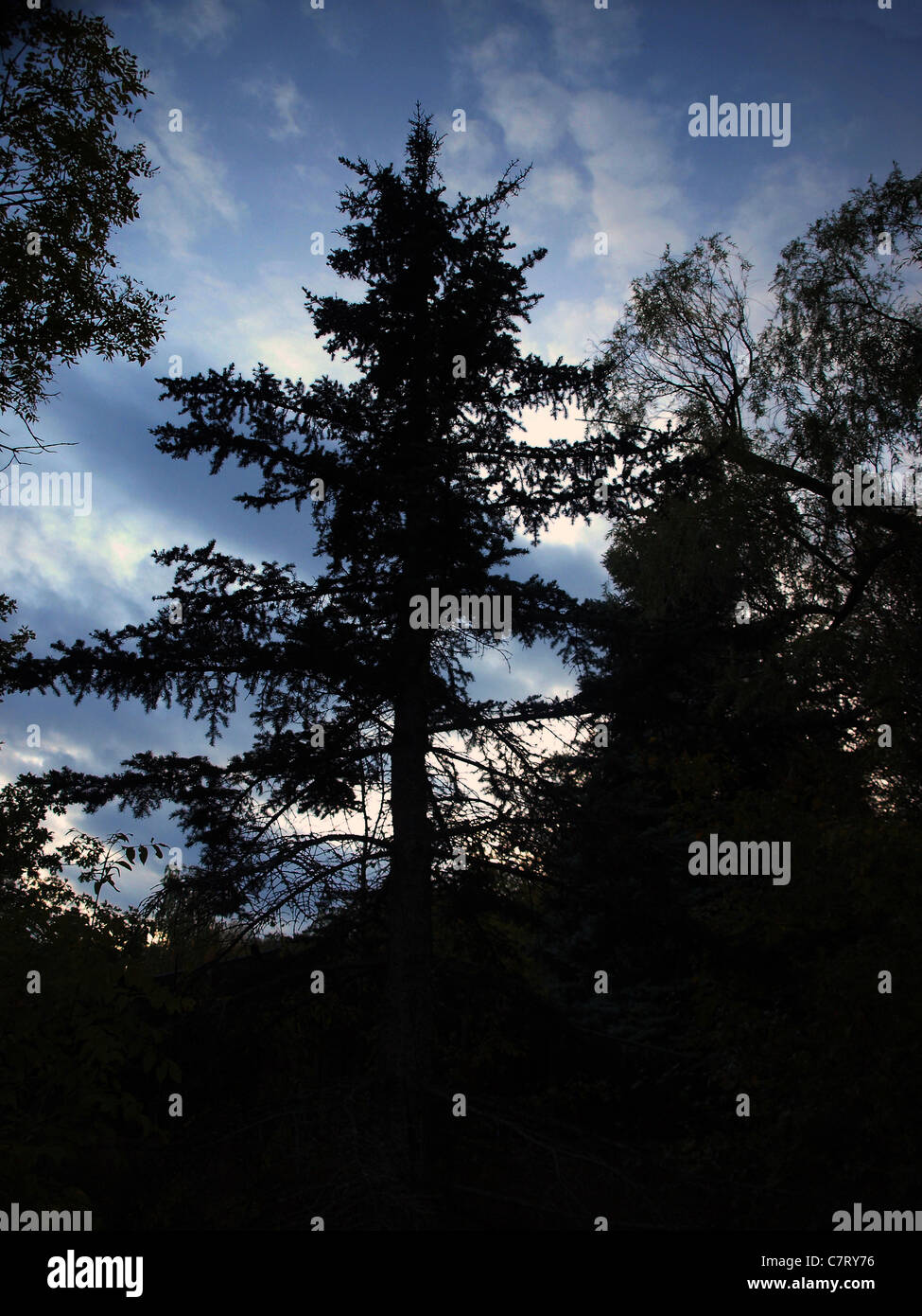 Half and half cloud cover background hi-res stock photography and ...