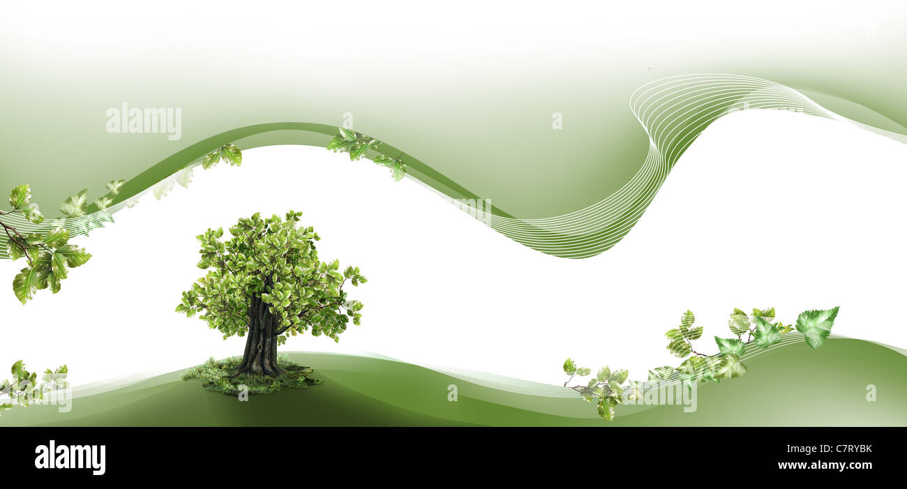 Nature header and footer with beech tree Stock Photo - Alamy