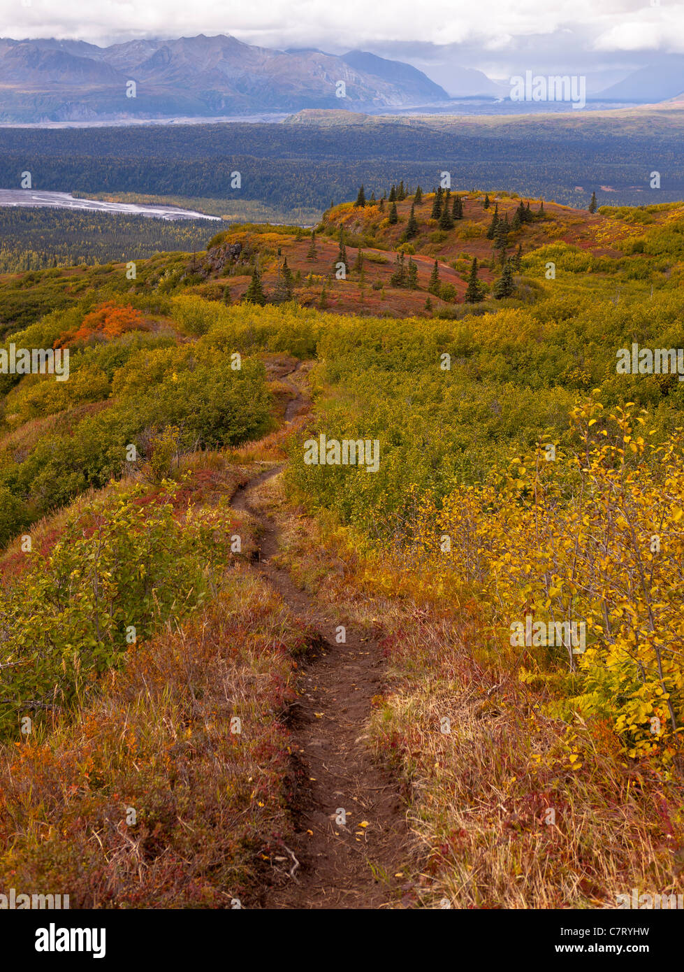 DENALI STATE PARK, ALASKA, USA - Kesugi Ridge. Chulitna River valley in ...