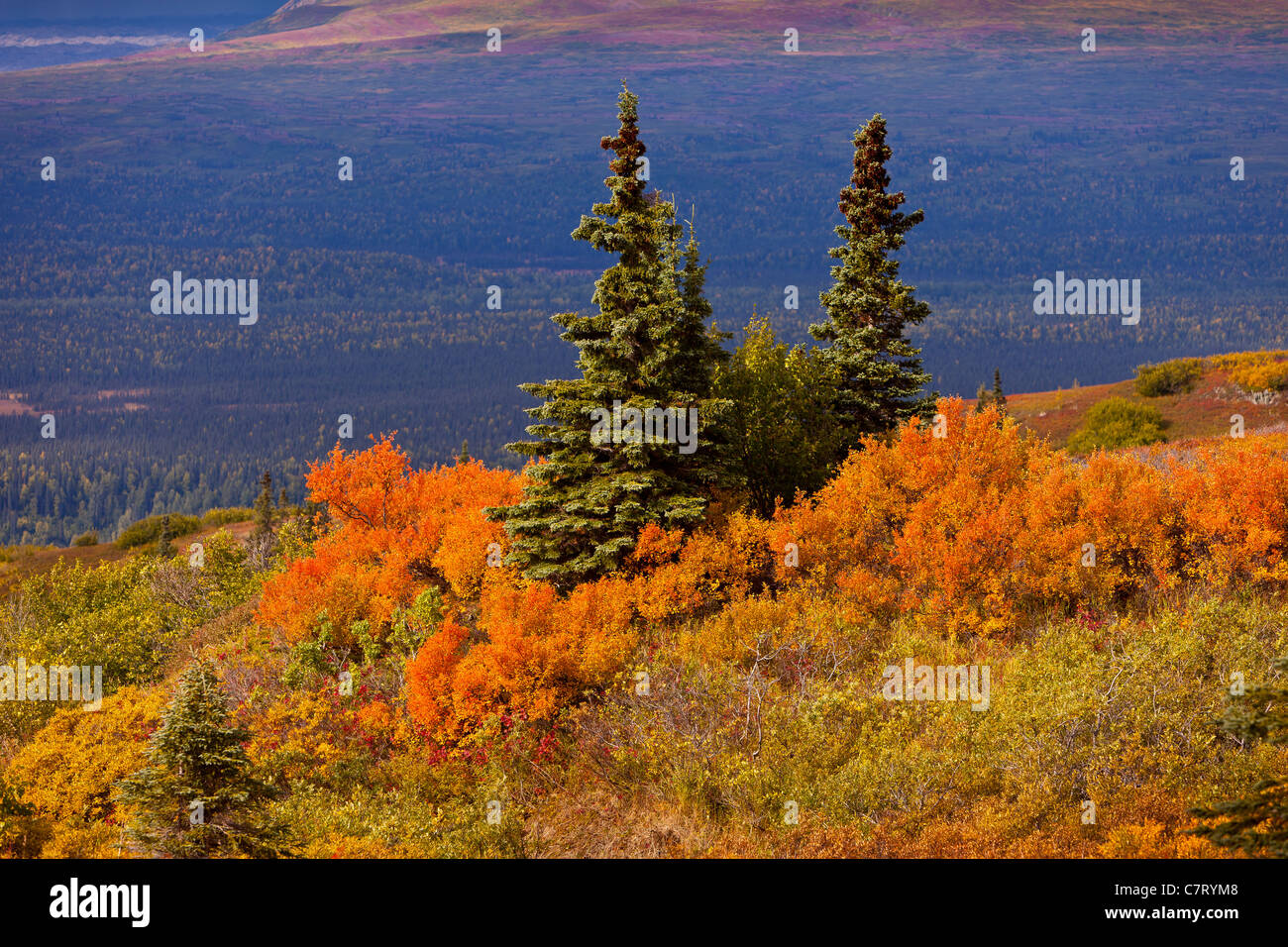 Alaska autumn landscape hi-res stock photography and images - Alamy
