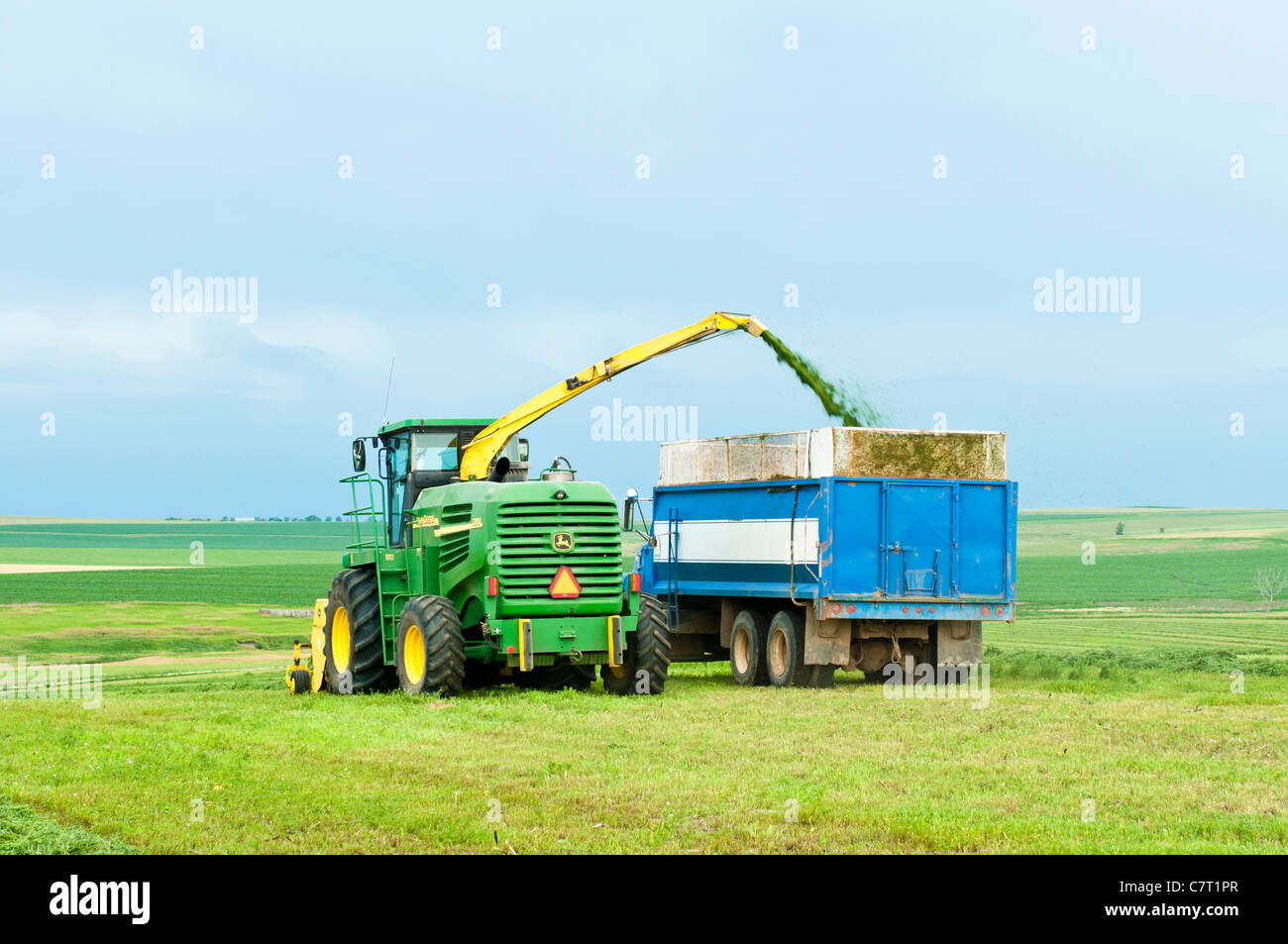 Tractor loading silage truck in hi-res stock photography and images - Alamy