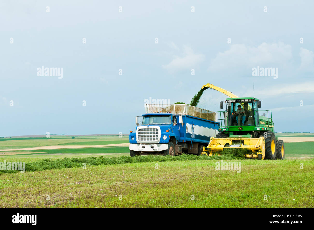 Alfalfa windrows hi-res stock photography and images - Alamy