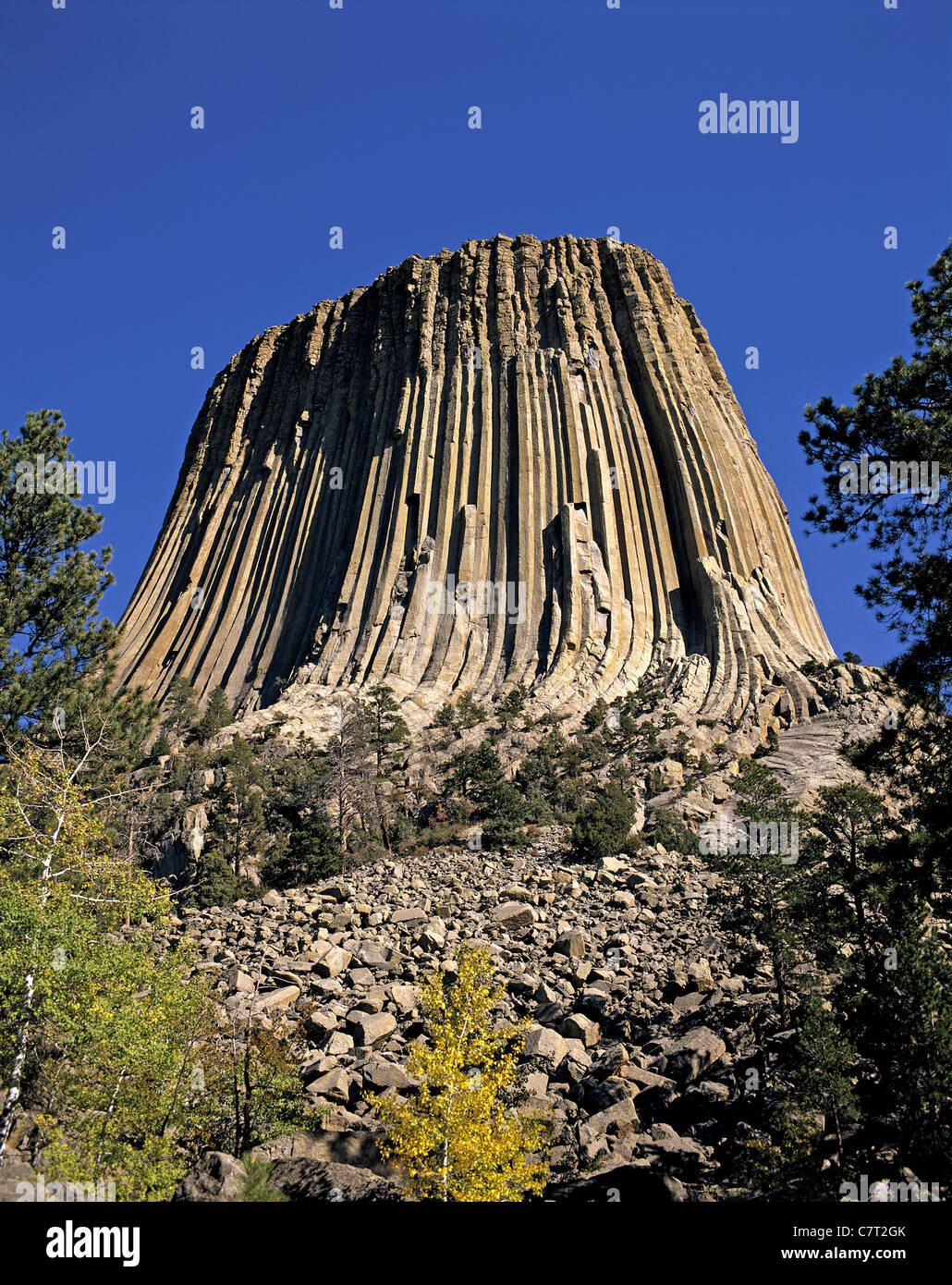 Devil S Tower South Dakota Usa Stock Photo Alamy
