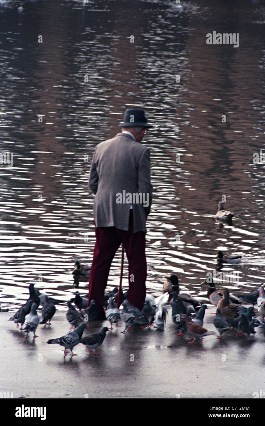 Man pigeons ducks birds hi-res stock photography and images - Alamy