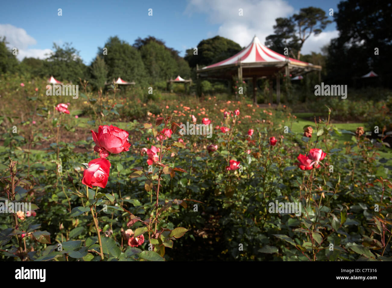 Lady Dixon Park High Resolution Stock Photography and Images - Alamy