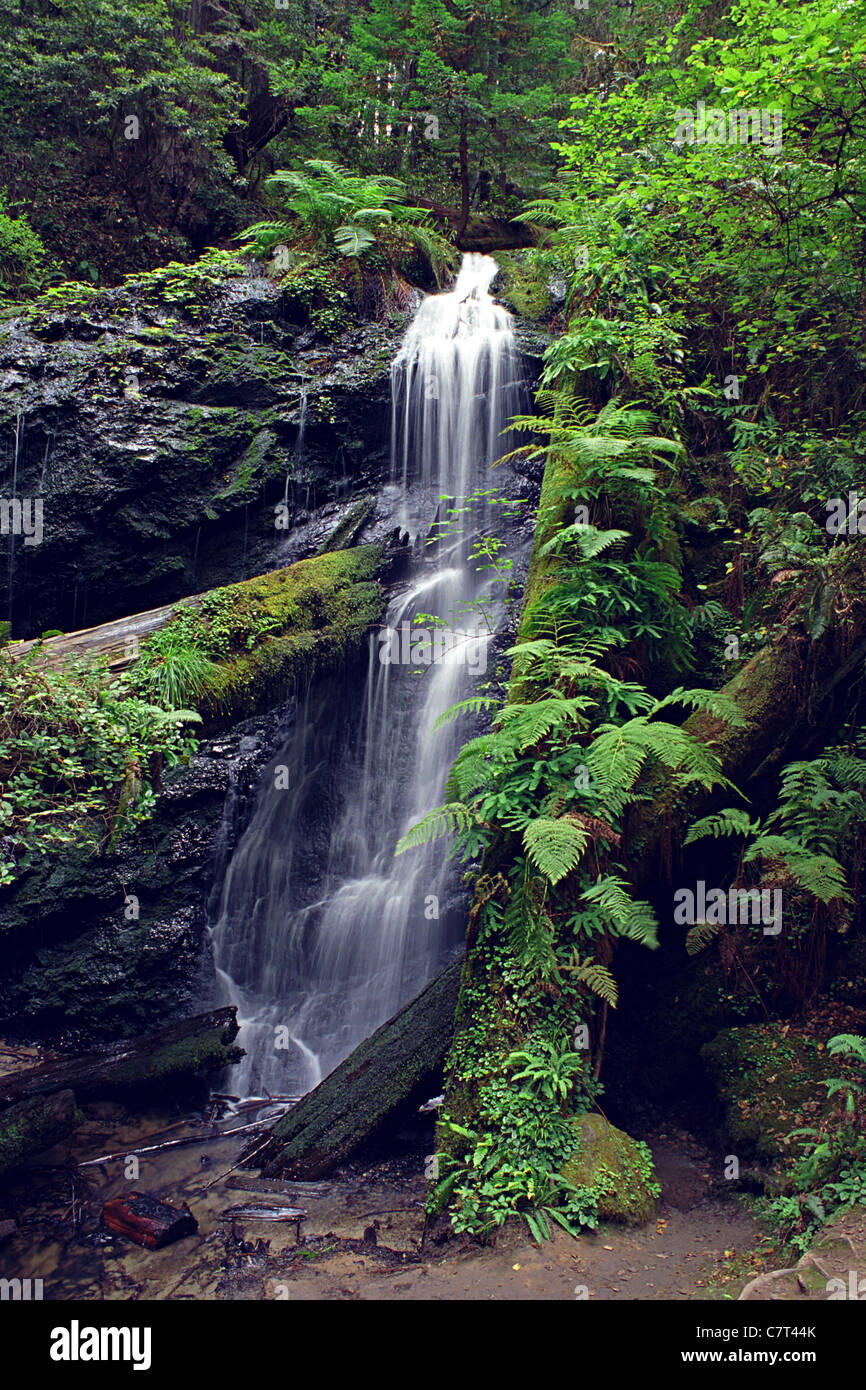 Russian gulch state park hi-res stock photography and images - Alamy