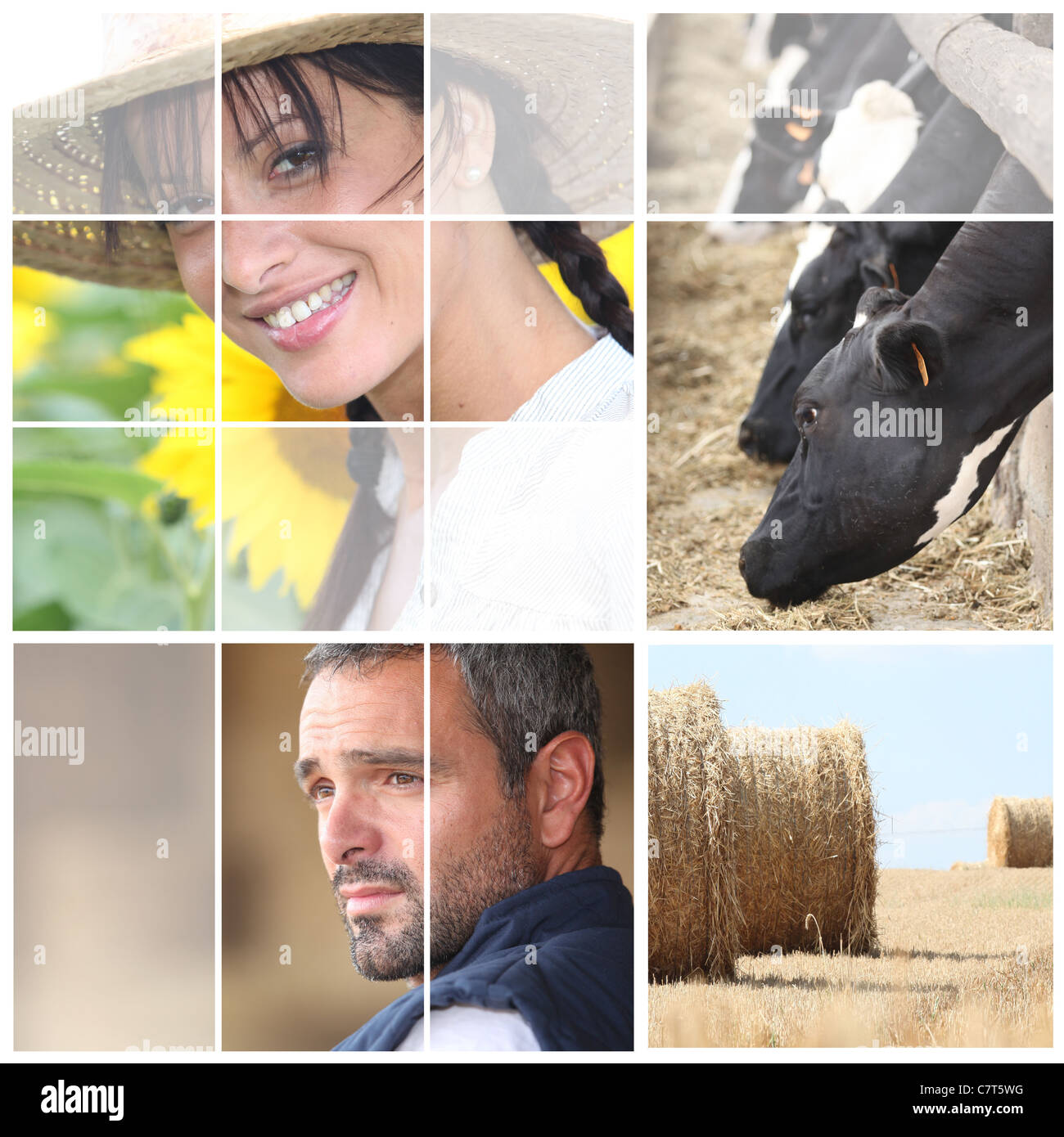 Farming mosaic hi-res stock photography and images - Alamy