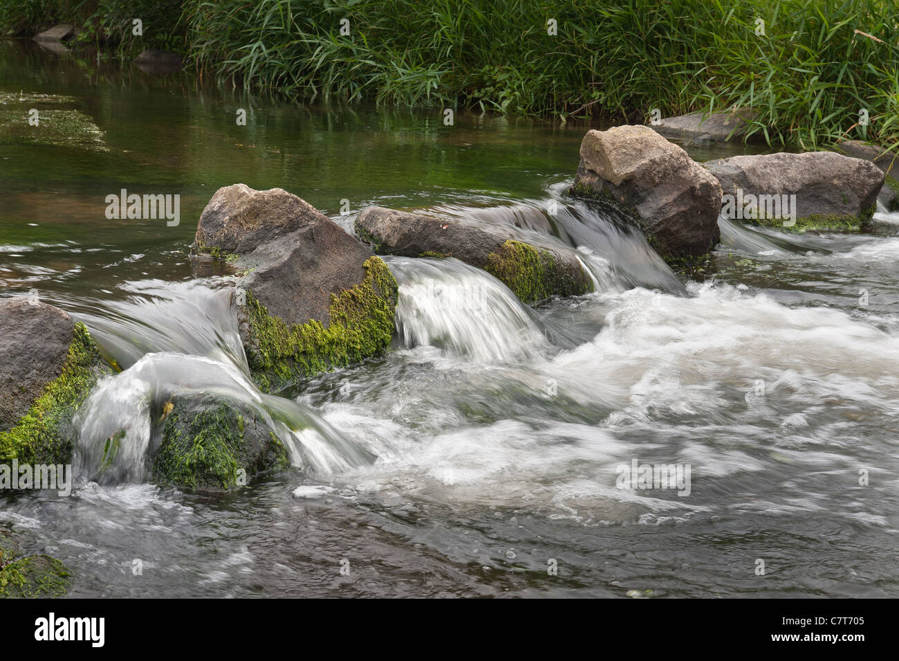 Fast flowing freshwater river flowing over rocks creating white water ...