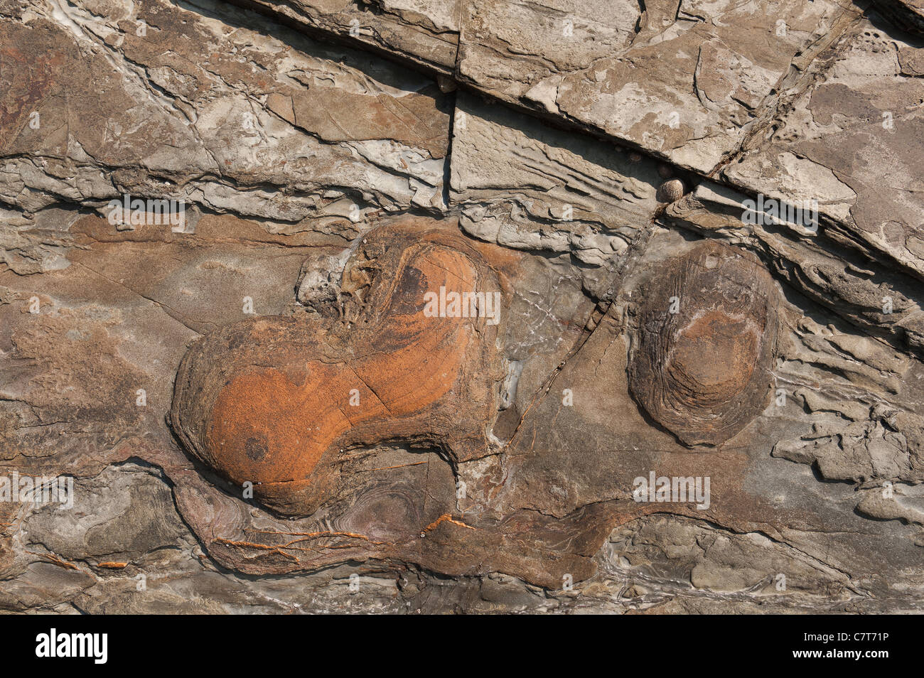 Quartz Fracture Stock Photos & Quartz Fracture Stock Images - Alamy