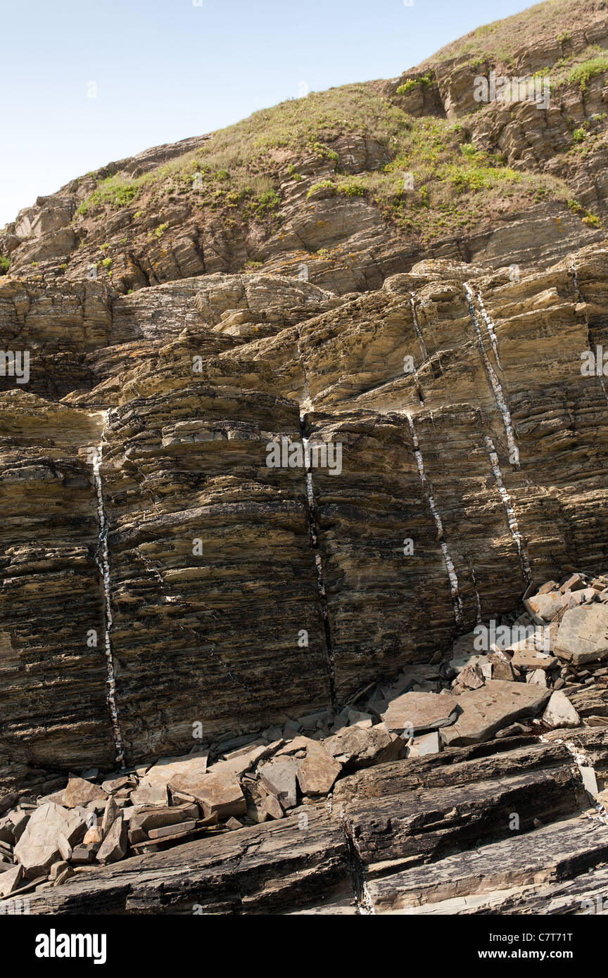 Quartz shale hi-res stock photography and images - Alamy