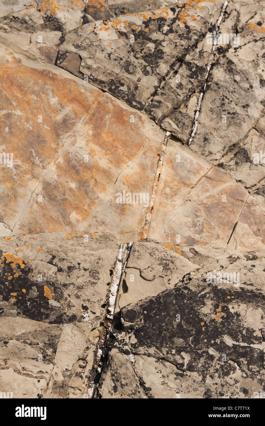 Quartz vein passing through metamorphic headland cliff of shale Stock ...