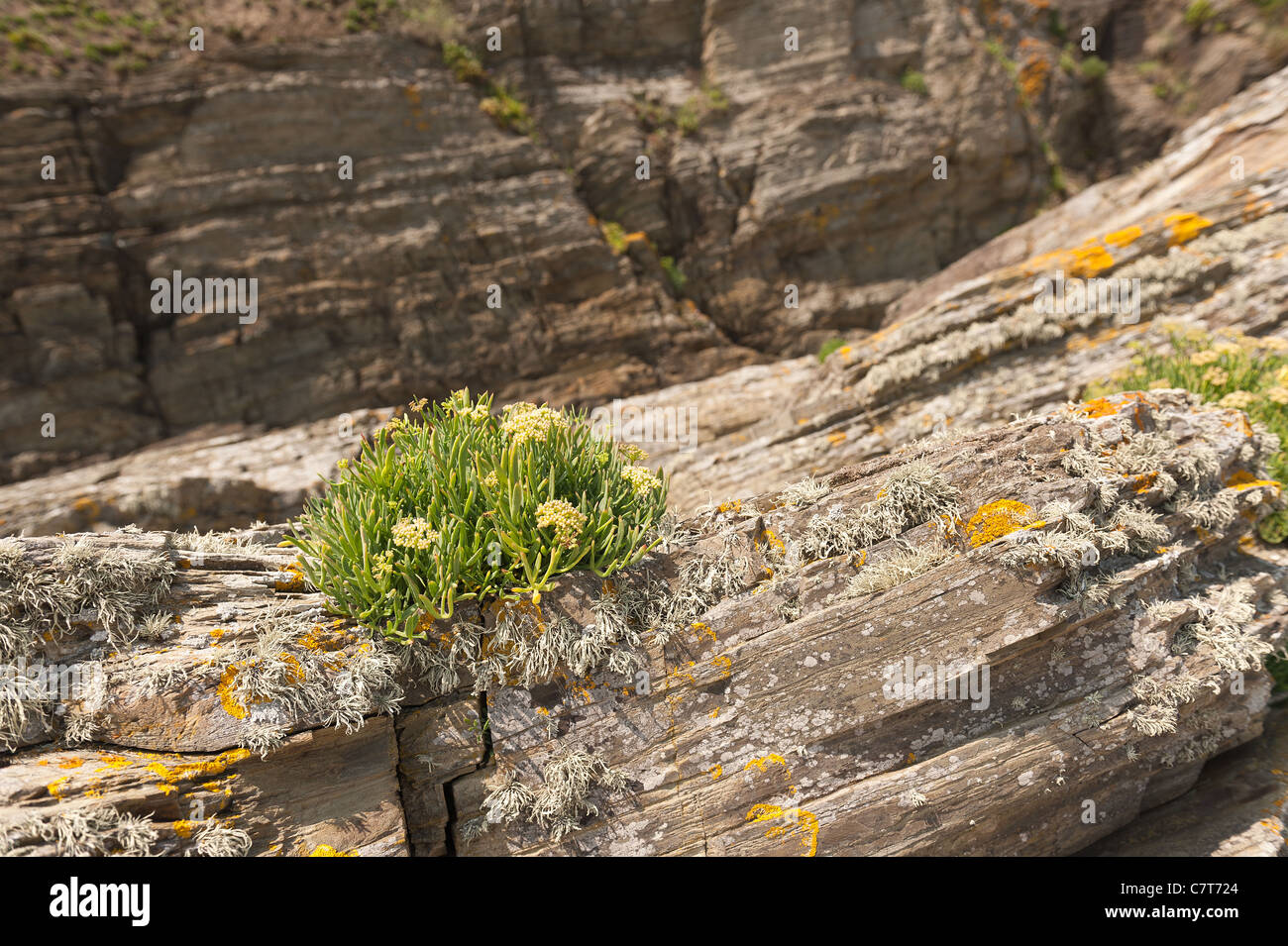 Hanging onto ledge hi-res stock photography and images - Alamy