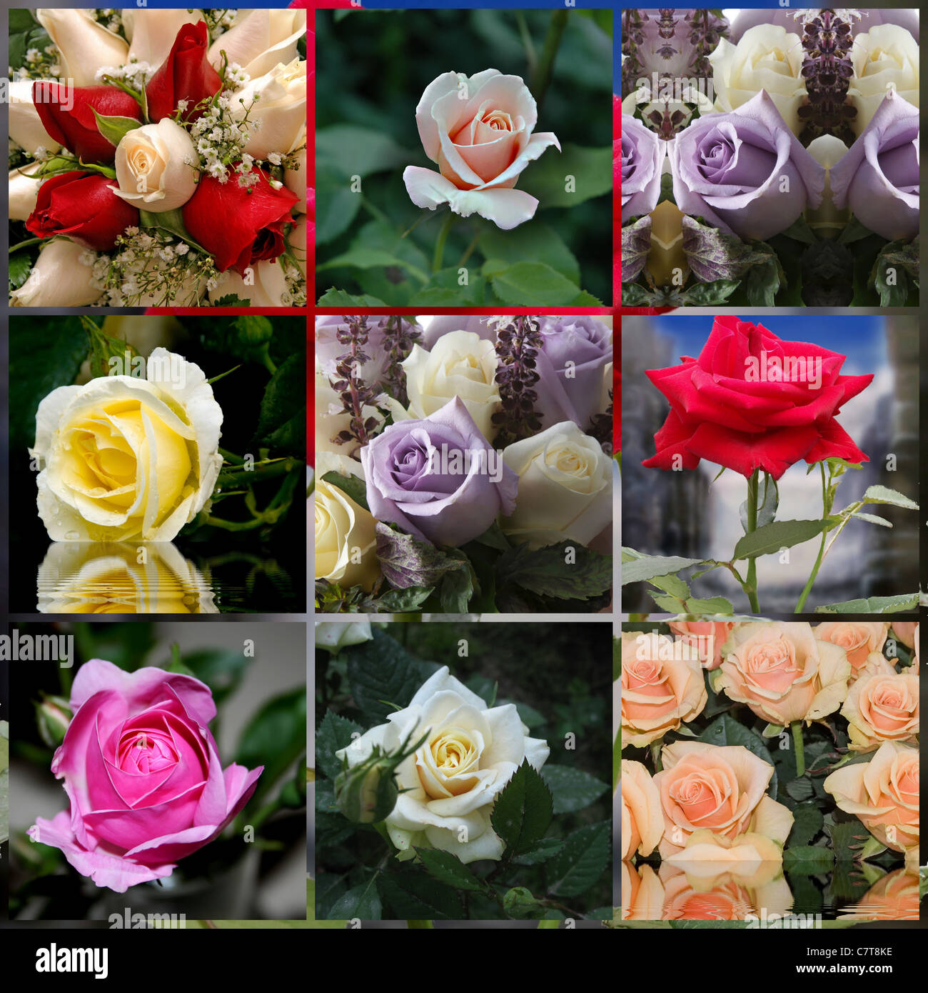 Flower collage hi-res stock photography and images - Alamy