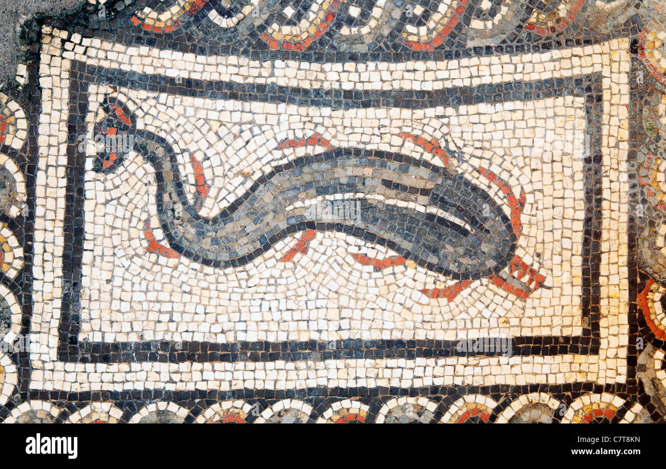 Roman mosaic britain hi-res stock photography and images - Alamy