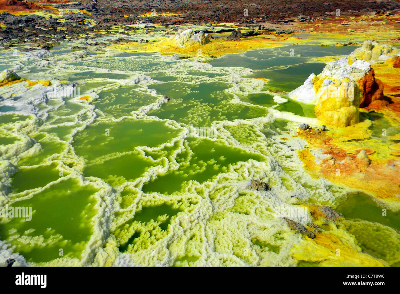 Ethiopia, Danakil depression, Dallol volcanic lake, 116m below sea ...