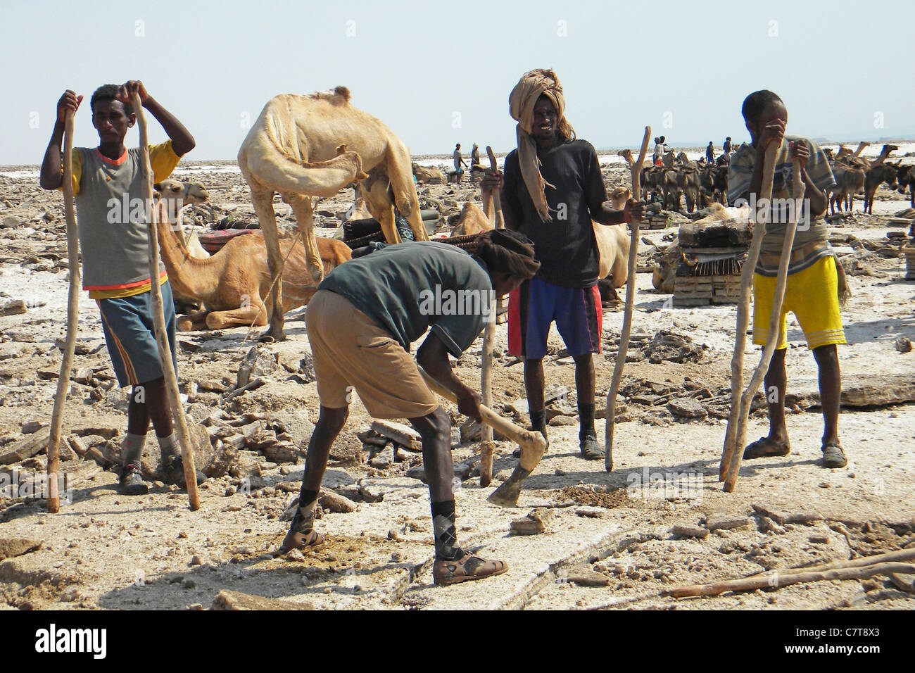 Salt digging hi-res stock photography and images - Alamy