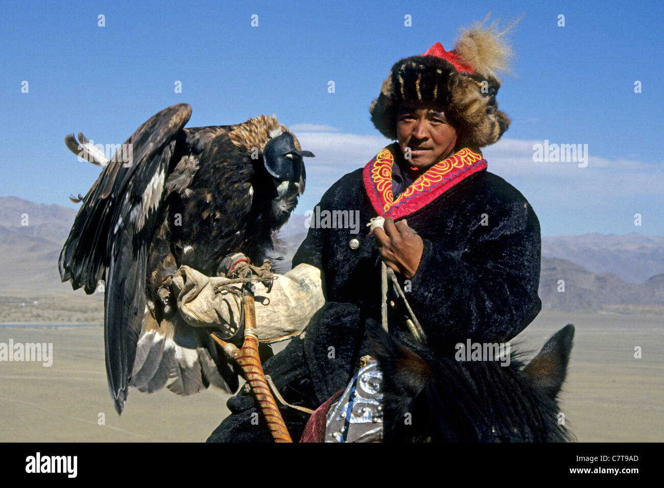 Mongolia, Altai Mt. Man with eagle Stock Photo - Alamy