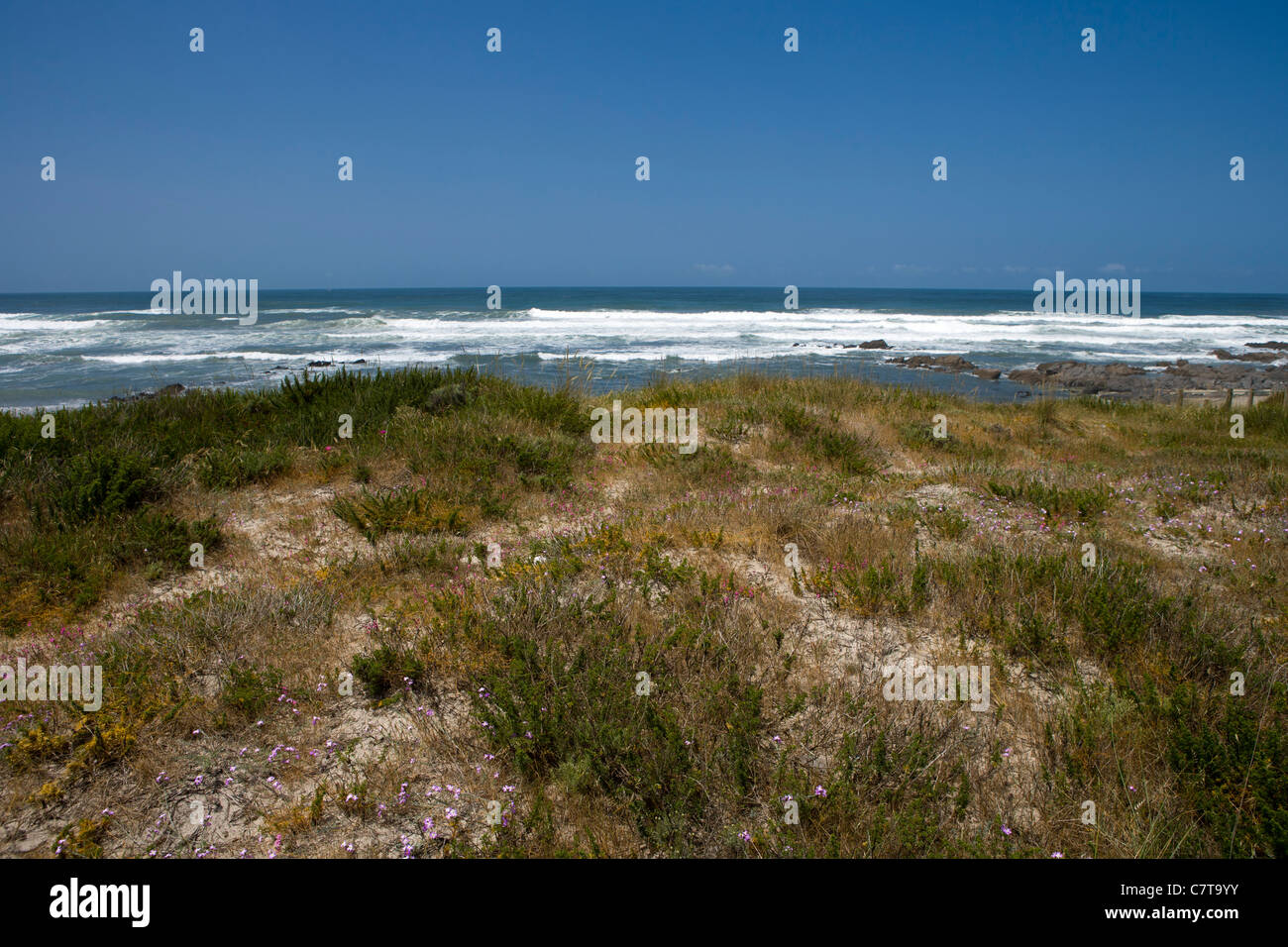 Afife portugal beach hi-res stock photography and images - Alamy