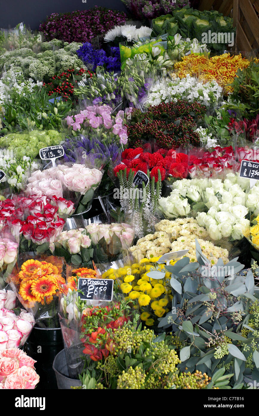 Various flowers displayed hi-res stock photography and images - Alamy