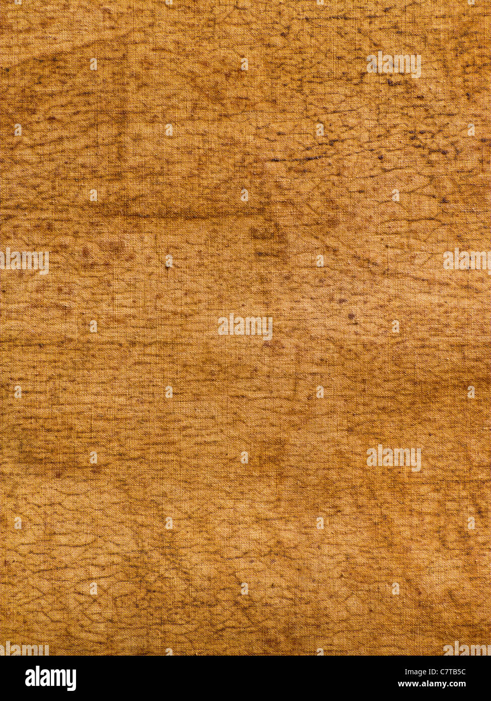 Back canvas painting hi-res stock photography and images - Alamy