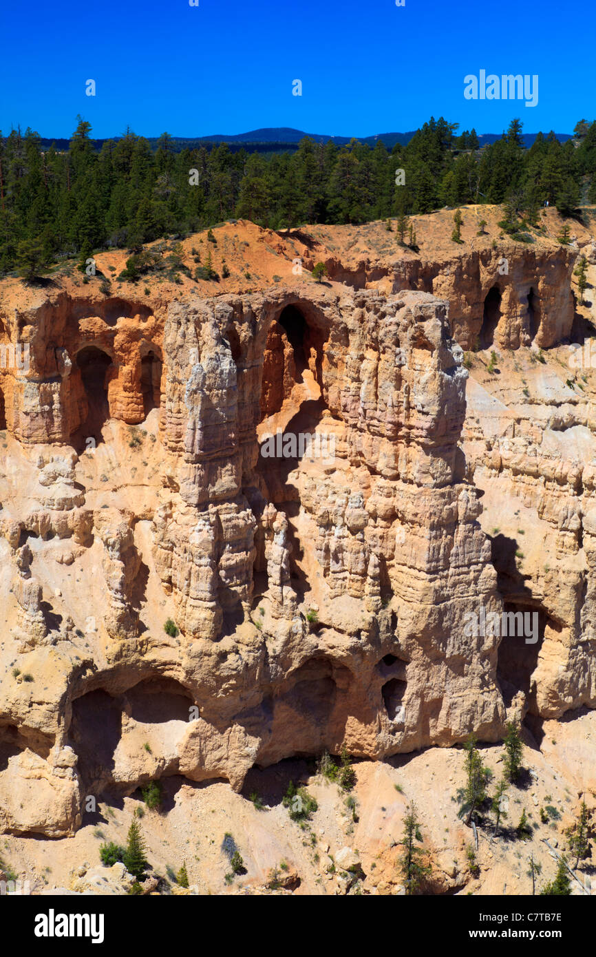 Bryce Canyon National Park Utah USA Bryce Point Stock Photo - Alamy