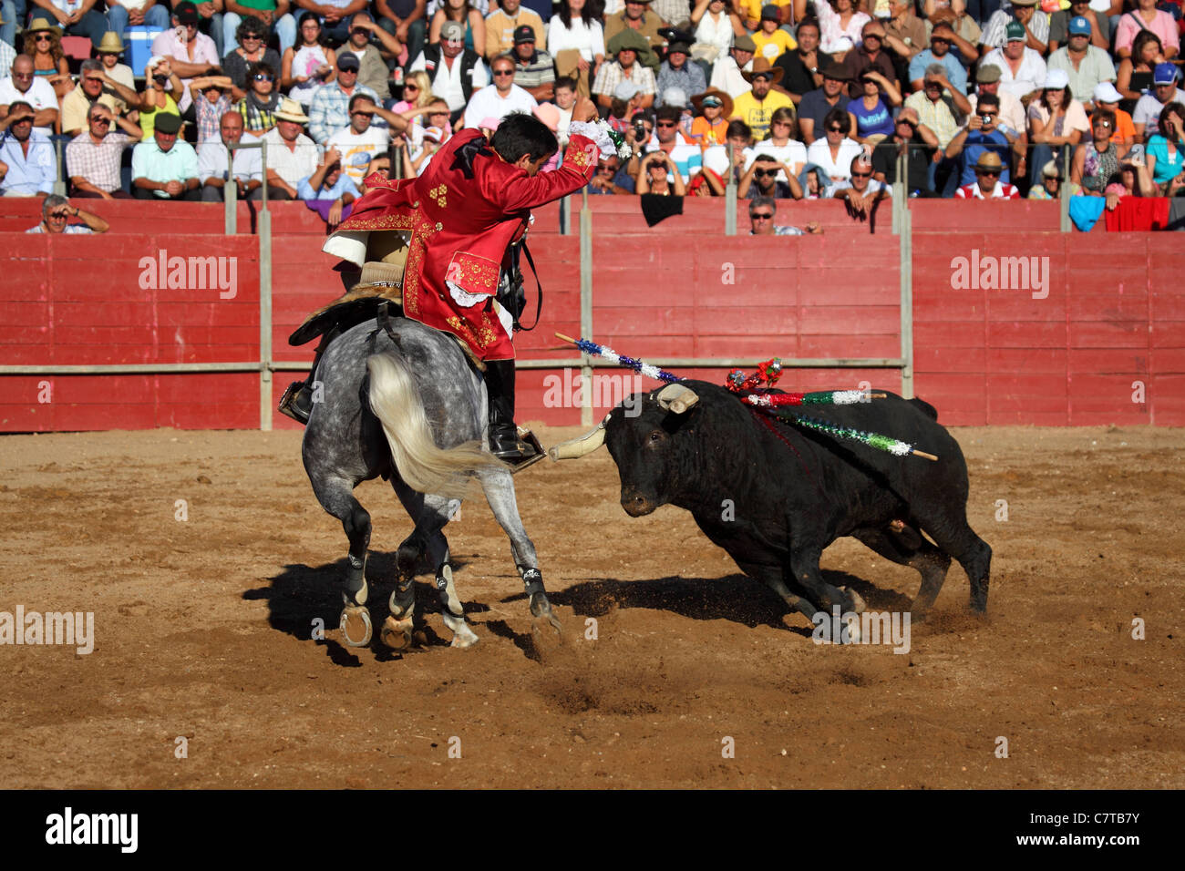 Bullfight bullfighting portugal portuguese hi-res stock photography and ...