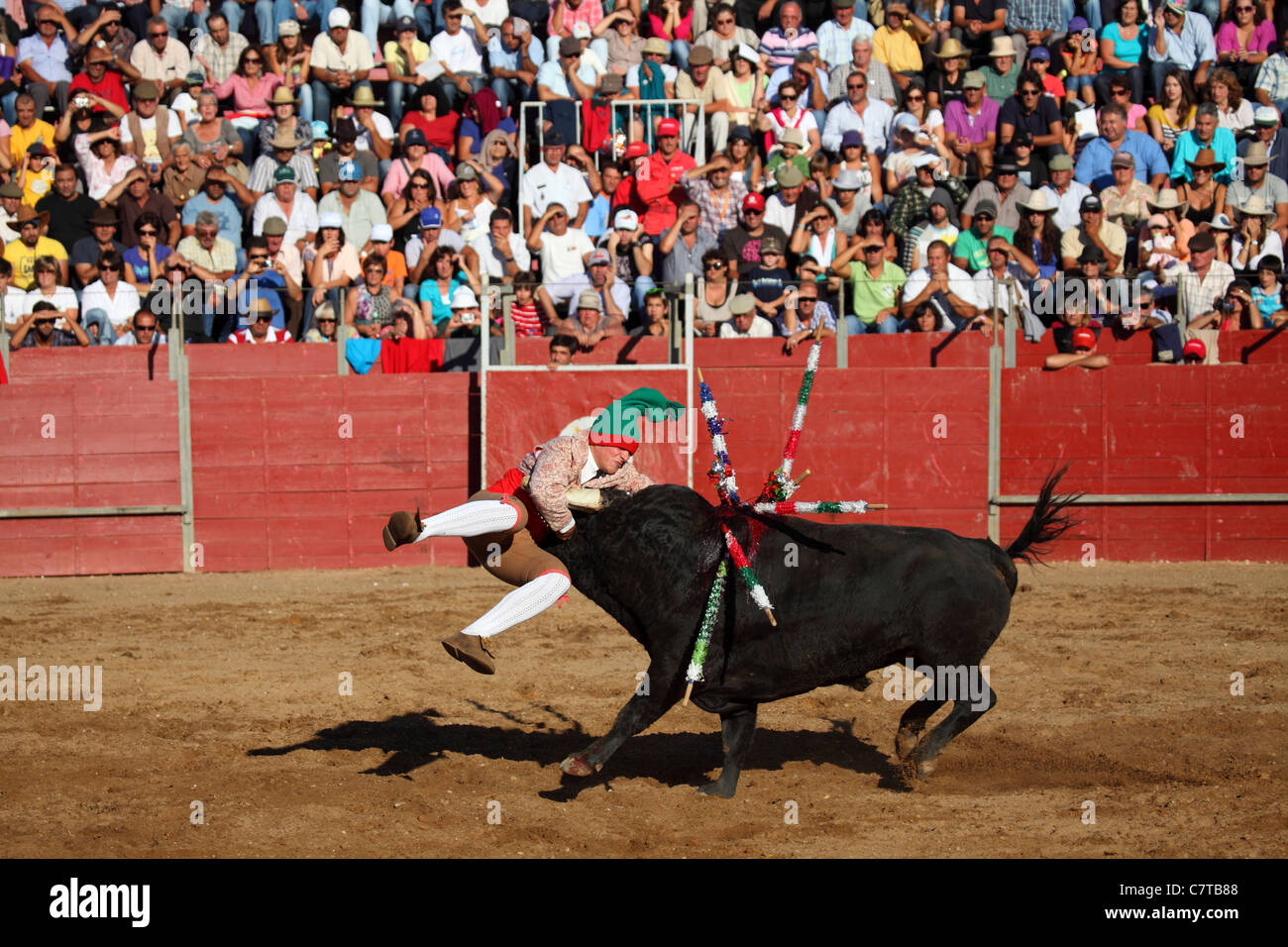 Bull charging into bullring hi-res stock photography and images - Alamy