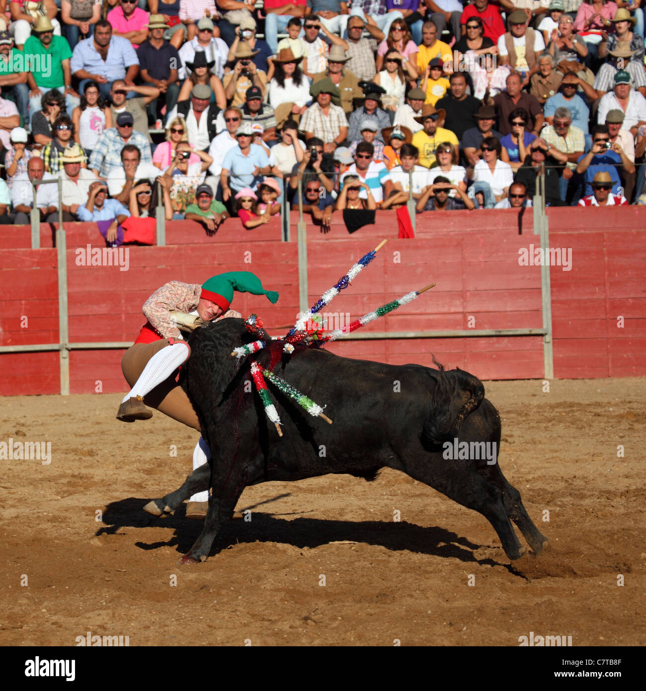 Bull charging into bullring hi-res stock photography and images - Alamy