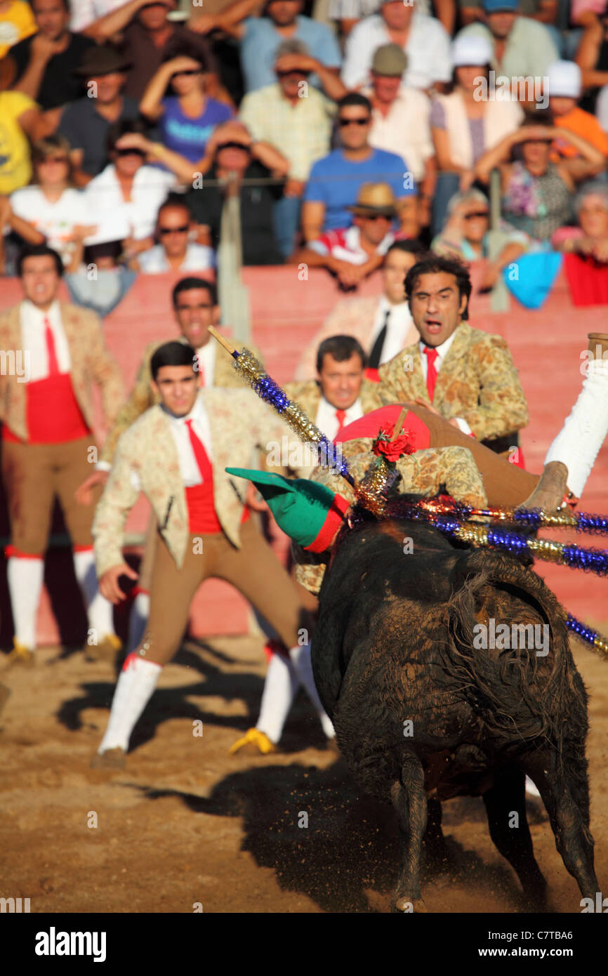 Stop bullfighting hi-res stock photography and images - Alamy