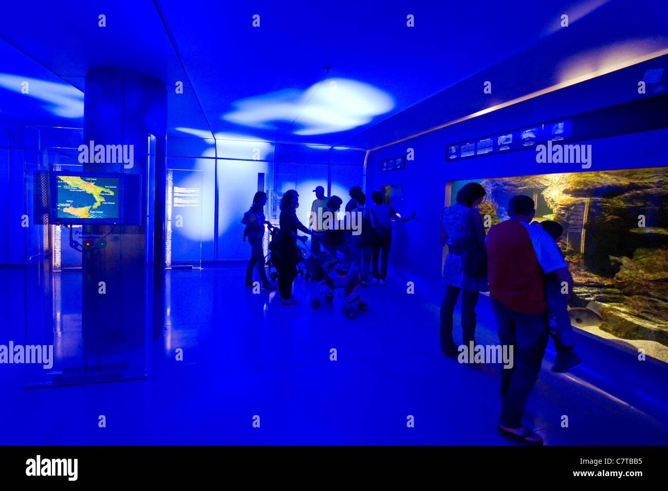 Visiting aquariums hi-res stock photography and images - Alamy