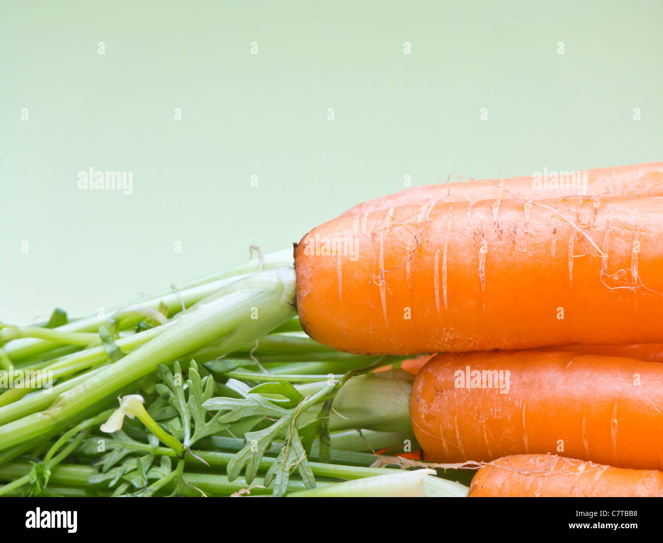 Carrots on Green Stock Photo - Alamy