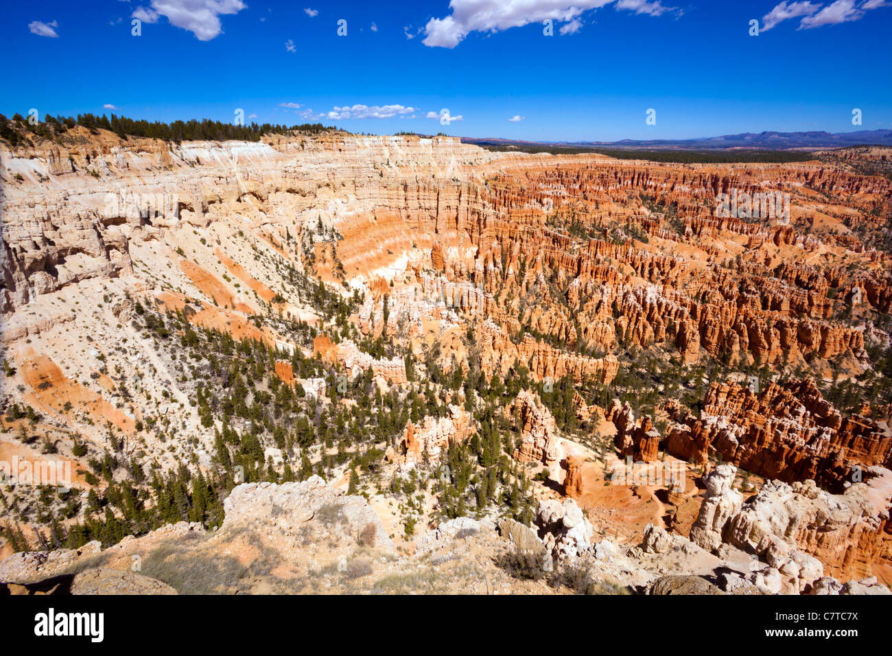 Bryce Canyon National Park Utah USA Bryce Point Stock Photo - Alamy