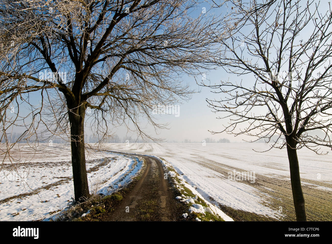 Road in winter Stock Photo - Alamy