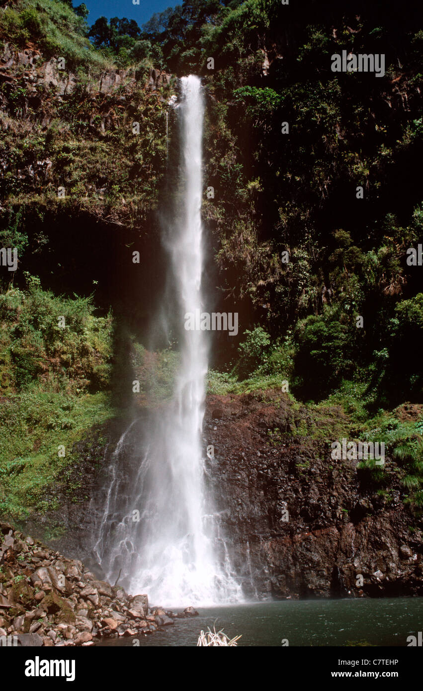 Waterfall in rainforest in Montagne d'Ambre National Park, Madagascar ...