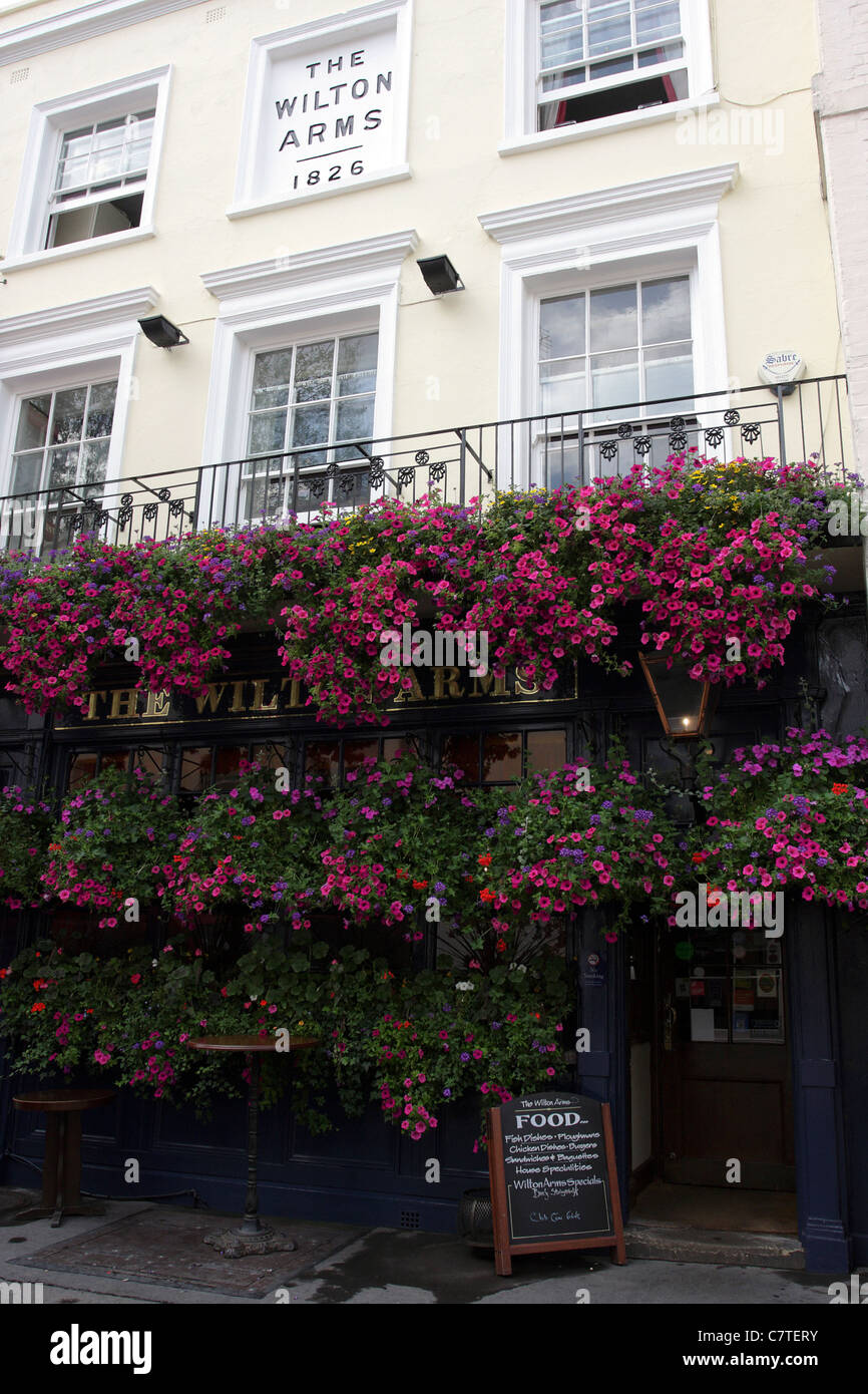 THE WILTON ARMS PUB, situated in Kinnerton Street, a quiet back street ...