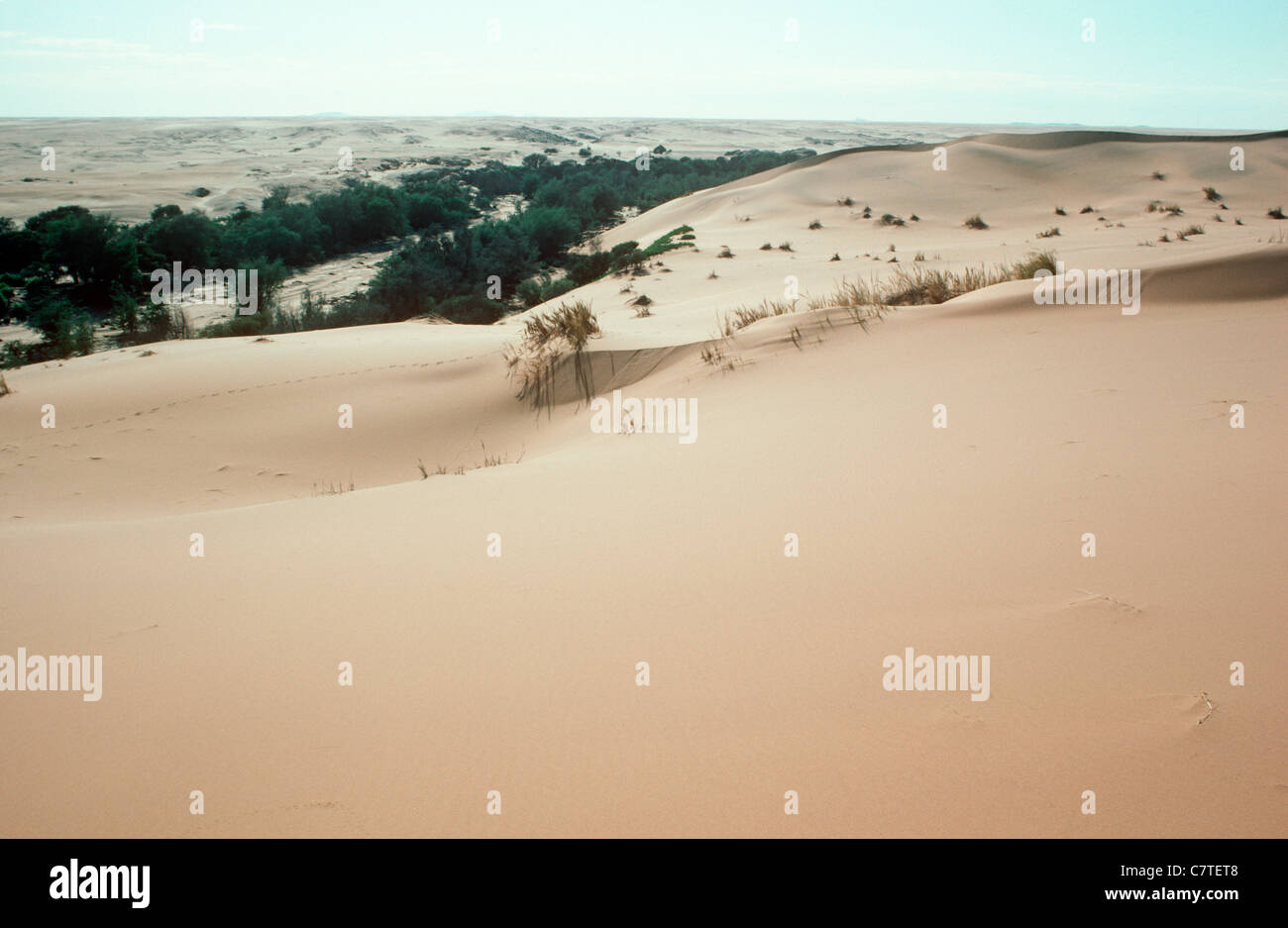 Dunes and the Kuiseb River bed in the Namib Desert at the Gobabeb ...
