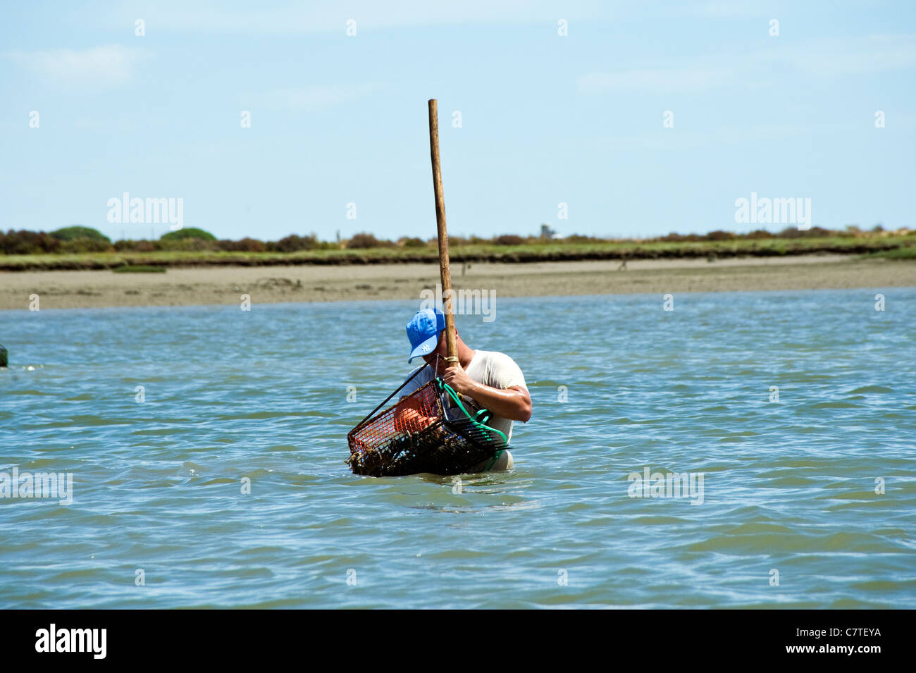 Shell fish hi-res stock photography and images - Alamy