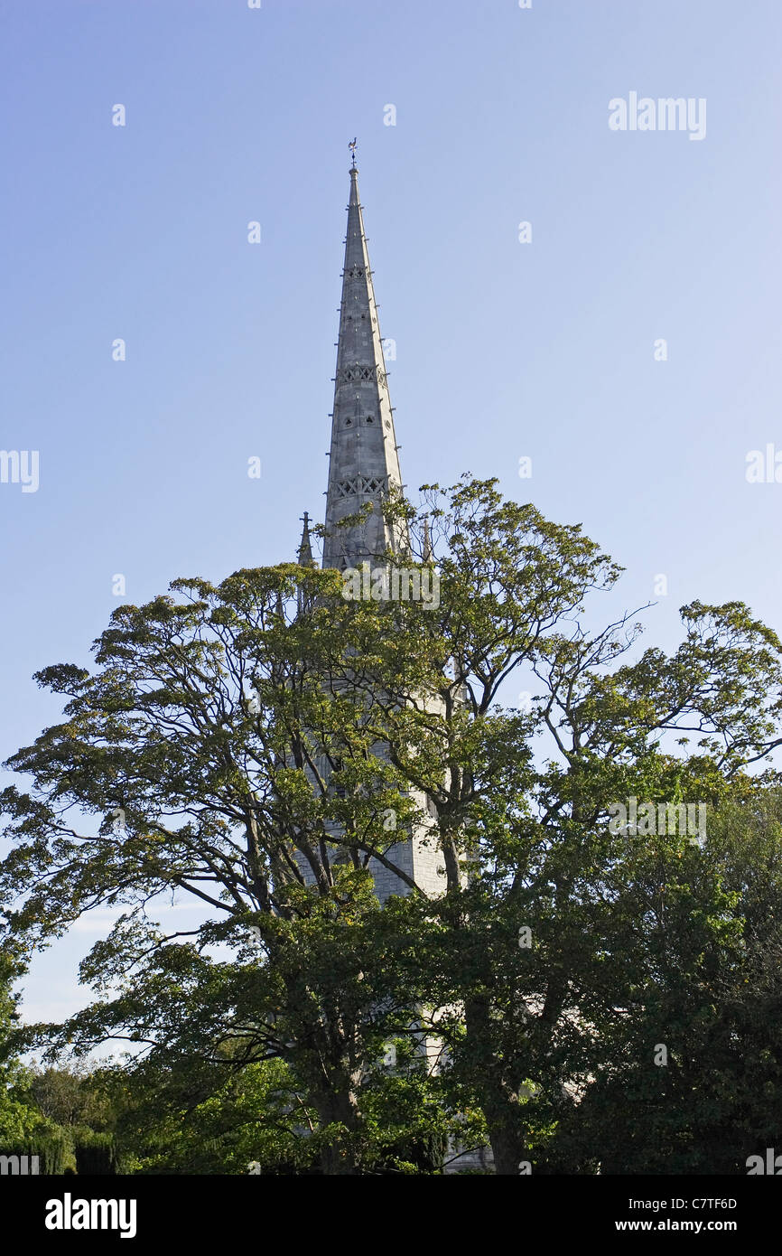 A view of a church spire above trees Stock Photo - Alamy