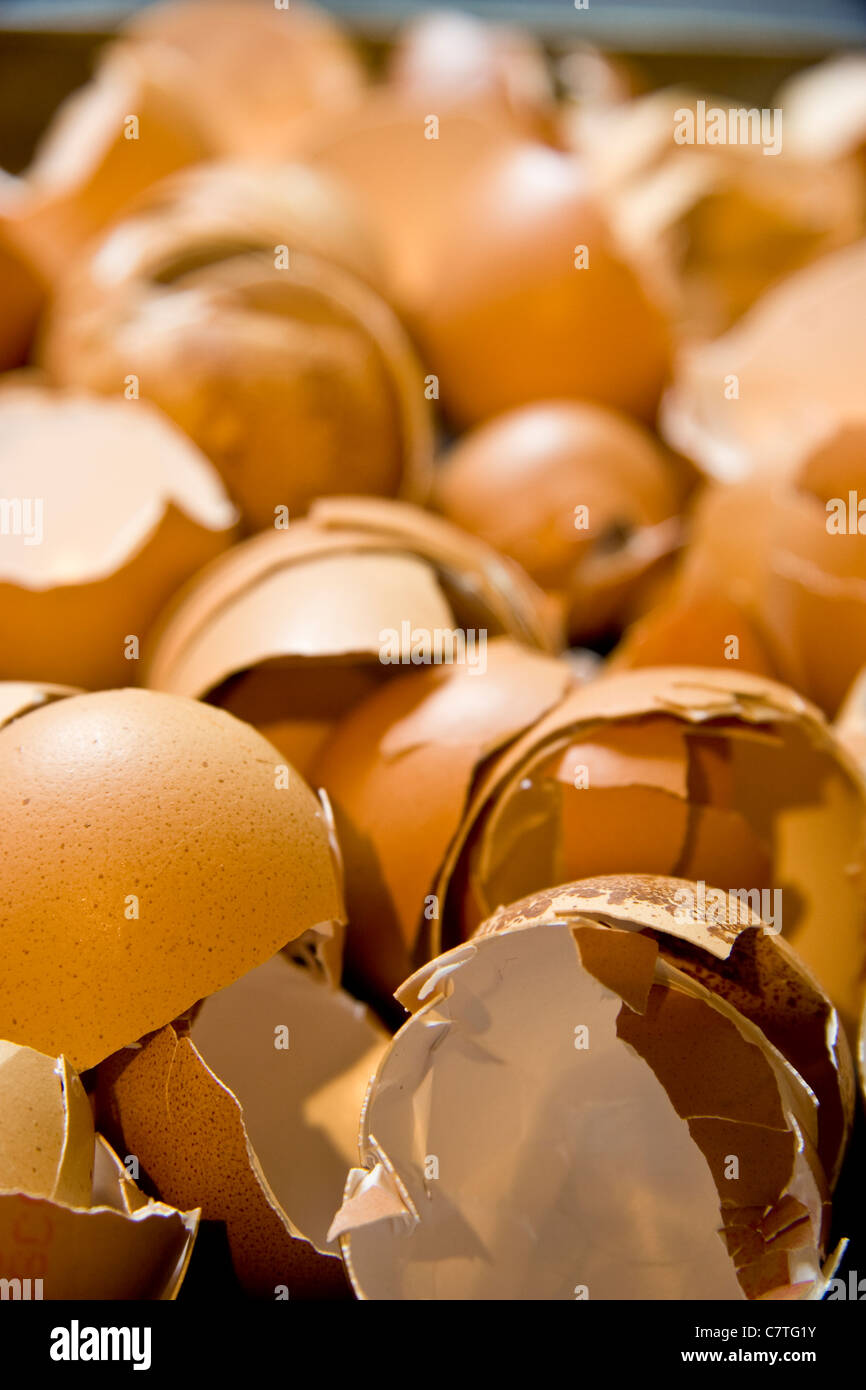 Tray of broken chicken eggshells Stock Photo - Alamy