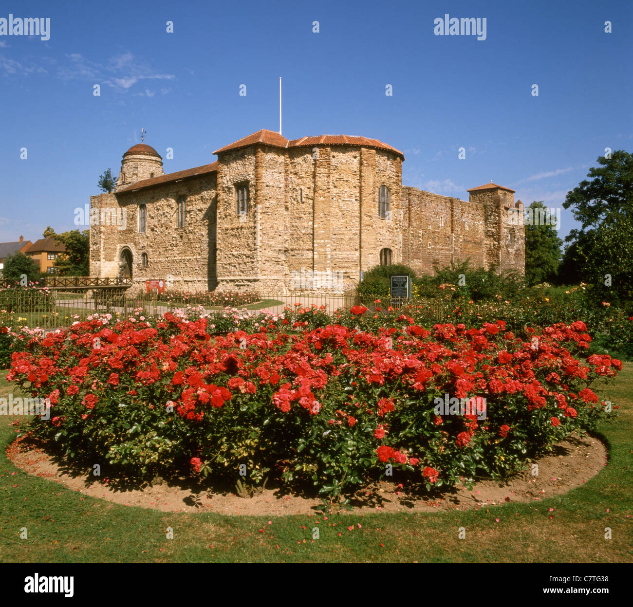 England Essex Colchester castle Stock Photo - Alamy