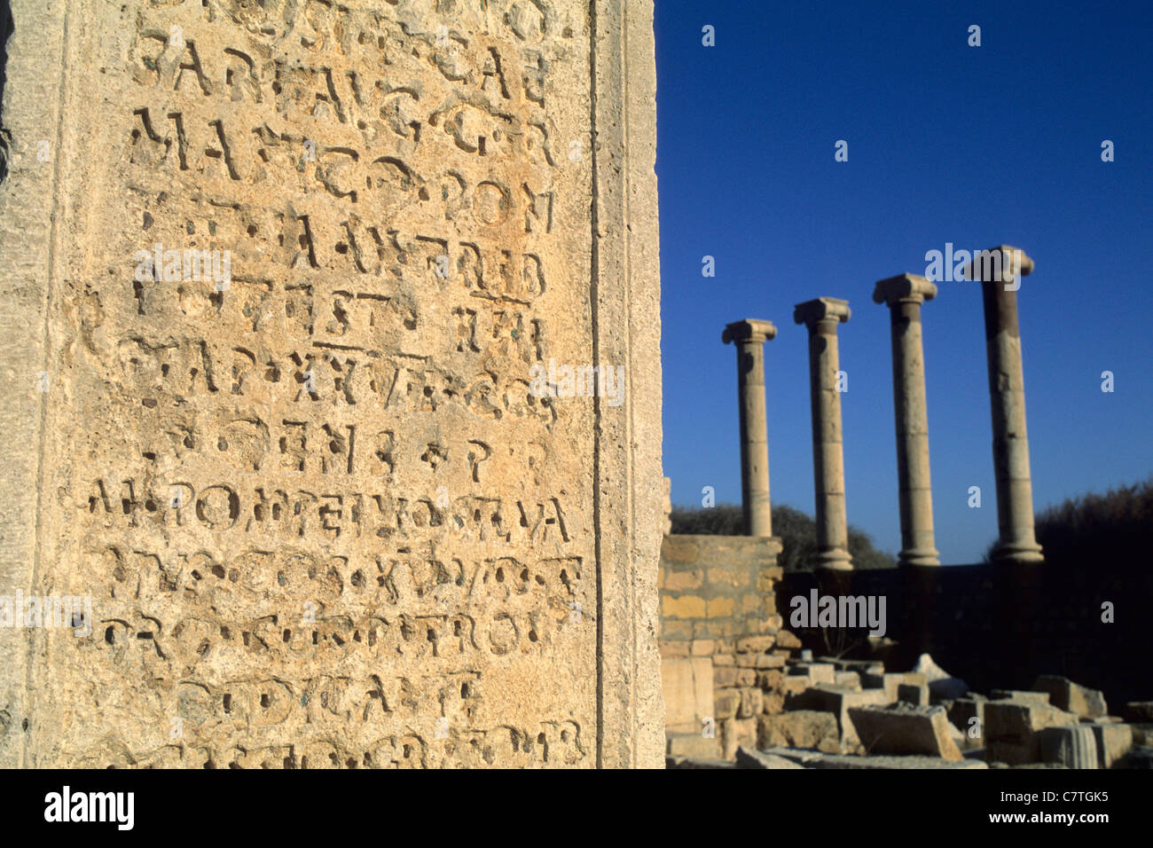 Africa, Libya, Leptis Magna, the roman ruins Stock Photo - Alamy