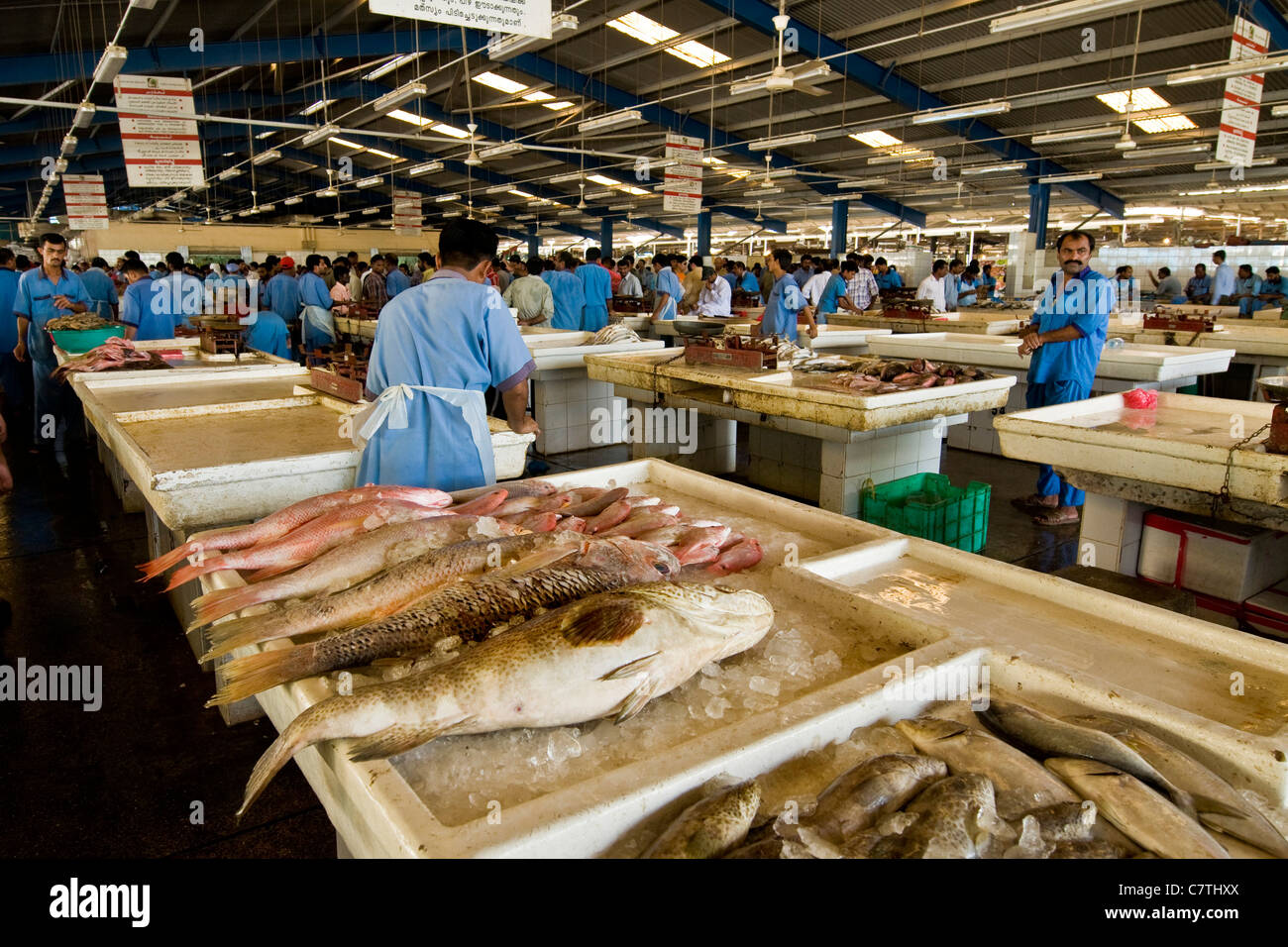 United Arab Emirates,Dubai, Deira, the fish market Stock Photo - Alamy
