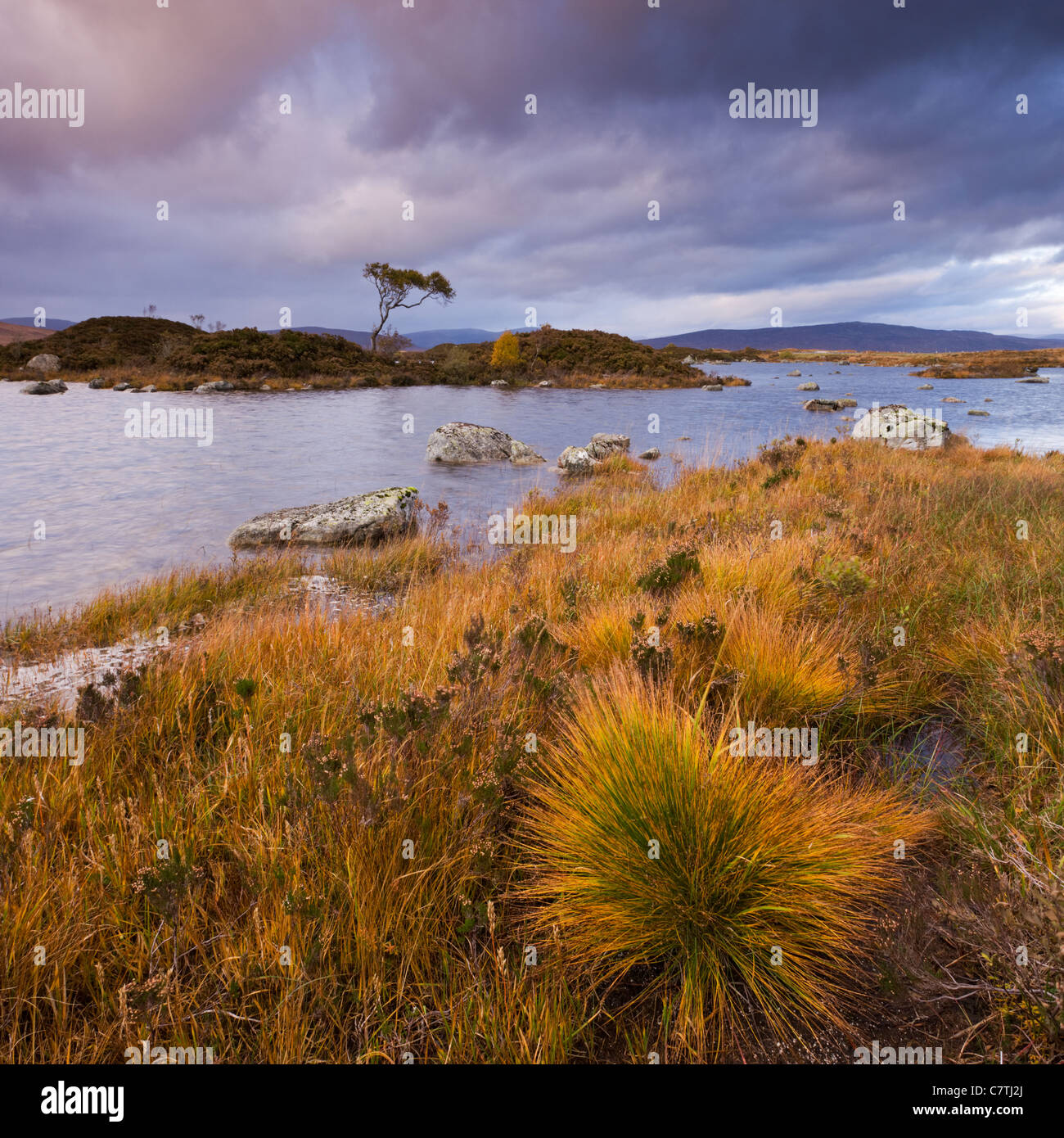 Scotland moor landscape hi-res stock photography and images - Alamy