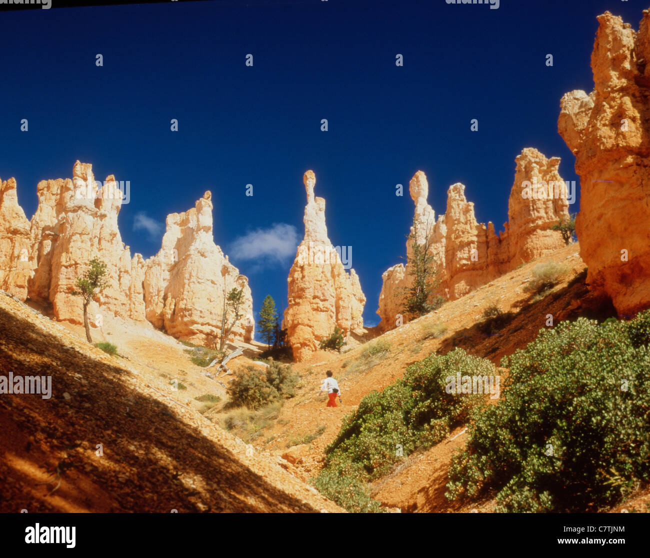 USA Utah Bryce canyon Stock Photo - Alamy