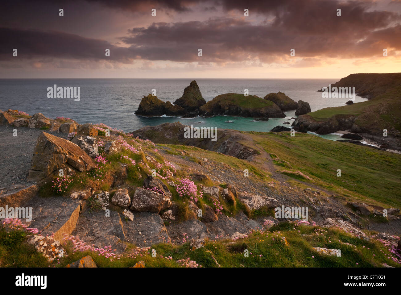 Cornwall uk lizard hi-res stock photography and images - Alamy