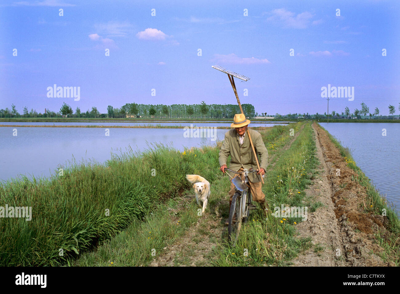 Farmer ricefields italy hi-res stock photography and images - Alamy