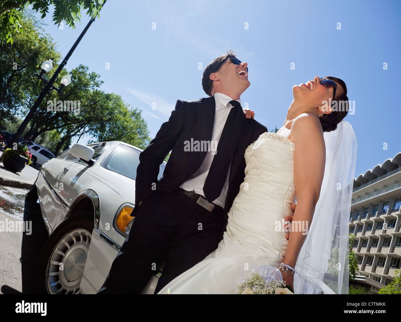 Wedding couple pose newlyweds in hi-res stock photography and images ...