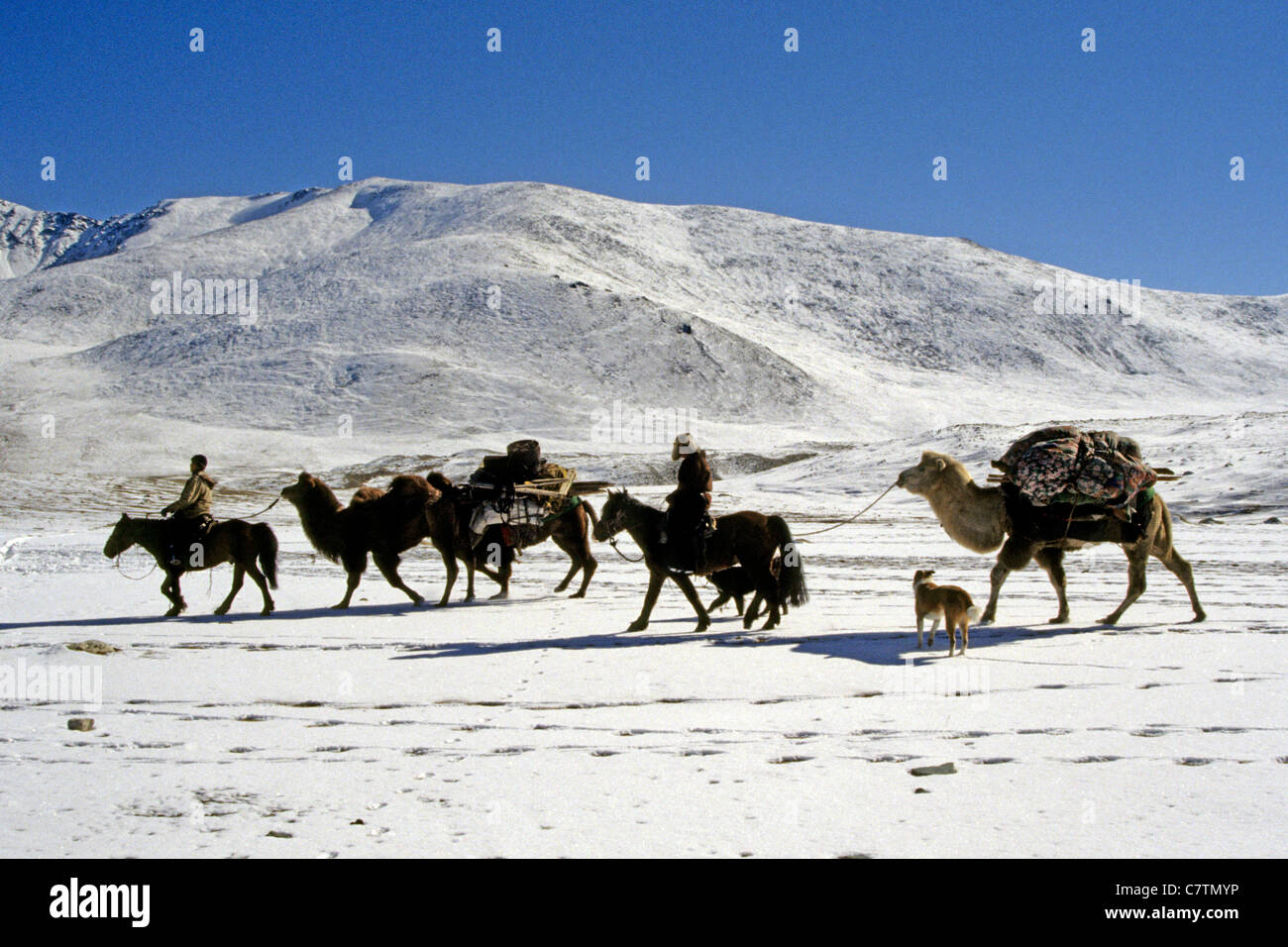 Mongolia, Altai Mountains, nomads Stock Photo - Alamy