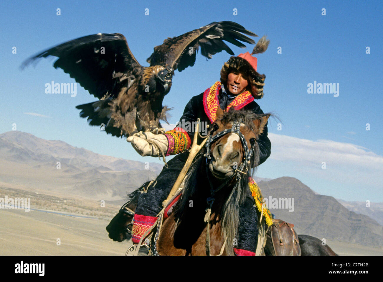 Mongolia, Altai Mt. Man with eagle Stock Photo - Alamy
