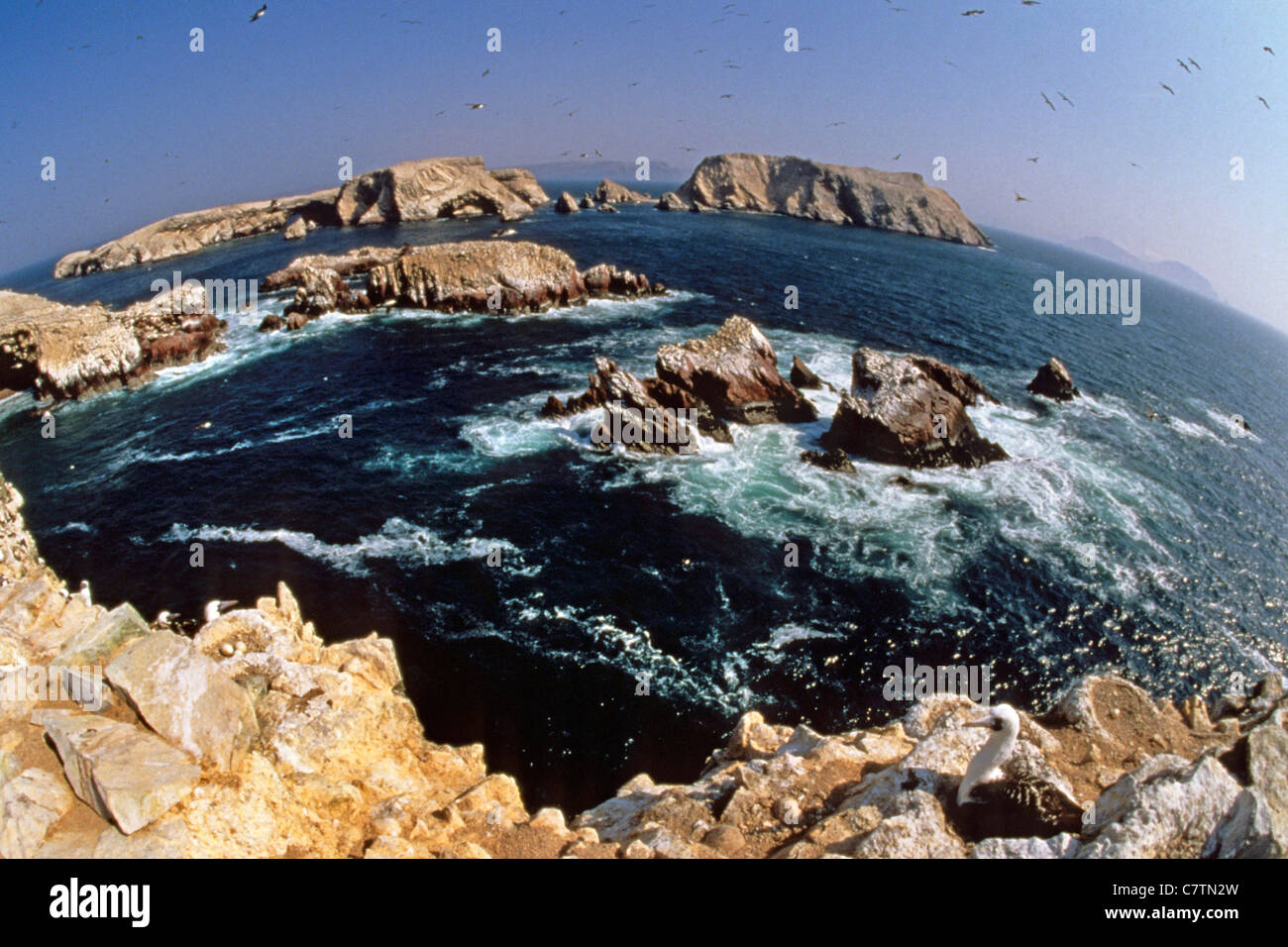 Shorelines of peru hi-res stock photography and images - Alamy